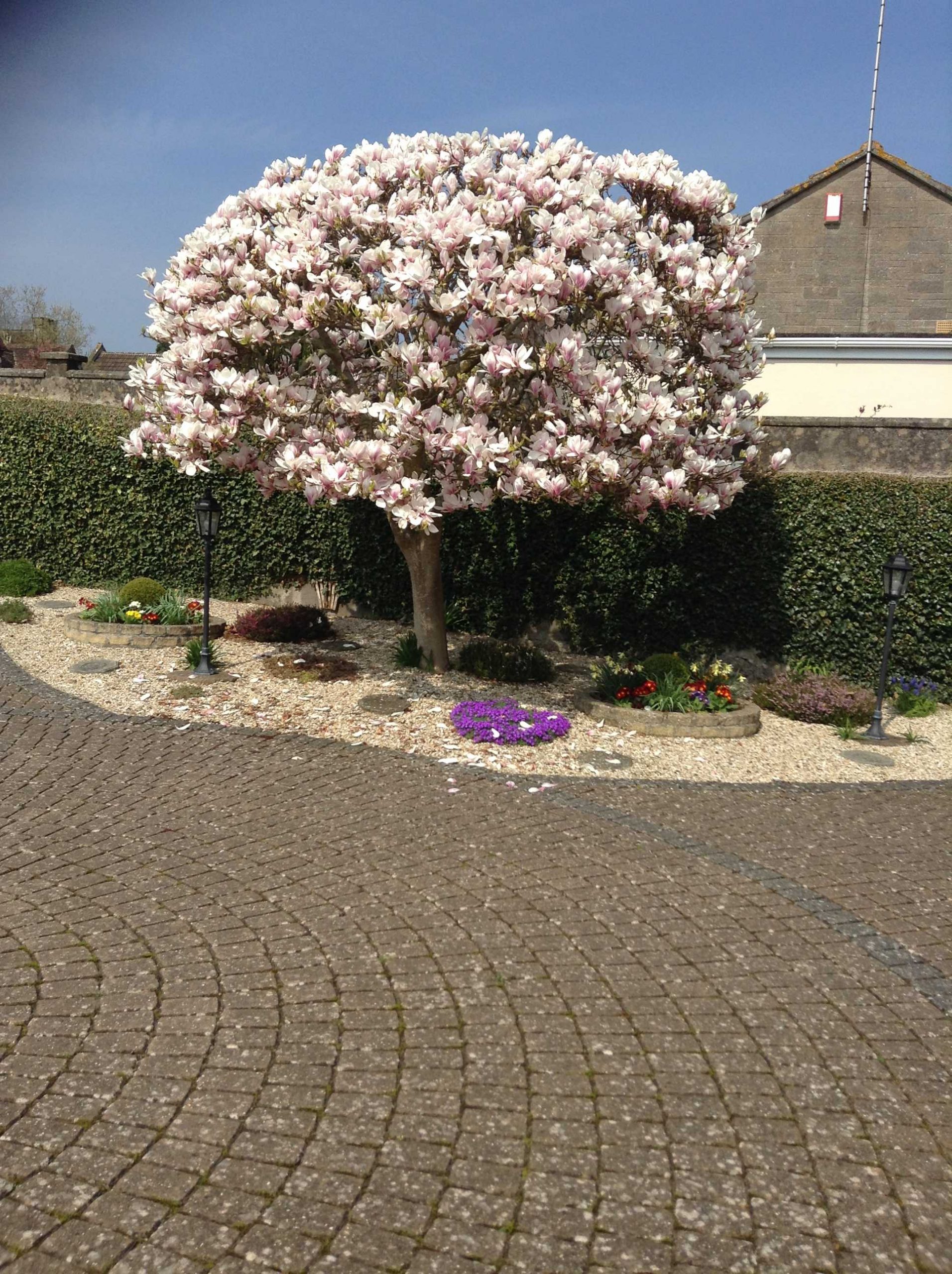 Anthony Sims – Somerset Freemasons – www.somersetfreemasons.org www ...