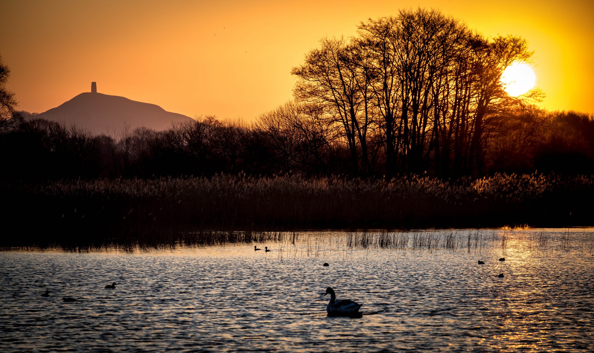 Les Pickersgill – Provincial Photographer – Somerset Freemasons – www ...